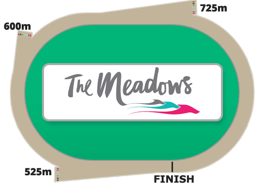 The Meadows Greyhounds News, Tips & Track History 2025