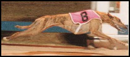 Flying Amy Classic 2022 | Field | Odds & Latest News